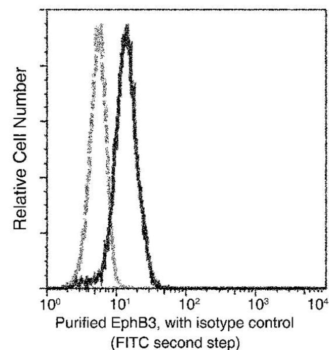 EphB3 Recombinant Rabbit Monoclonal Antibody (001), Invitrogen 100 μL ...