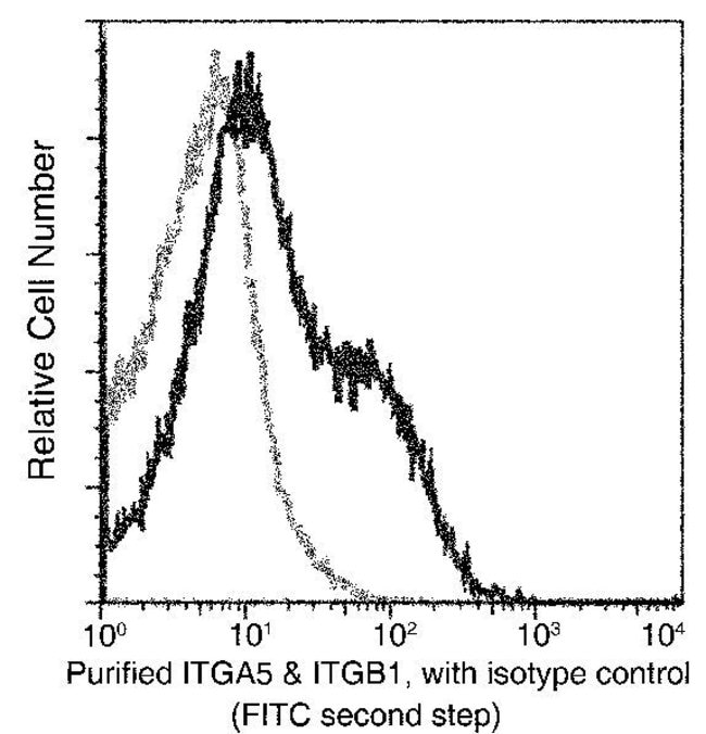 Invitrogen ITGA5/ITGB1 Monoclonal Antibody (05) 100 μL; Unconjugated:Antikroppar | Fisher Scientific