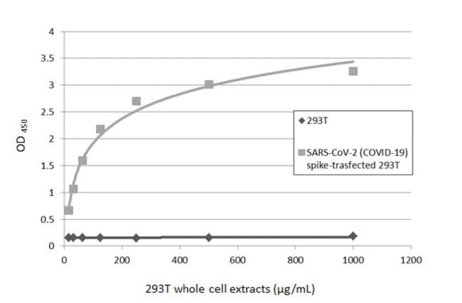 SARS-CoV-2 Spike Protein S1 Recombinant Rabbit Monoclonal Antibody (HL1 ...