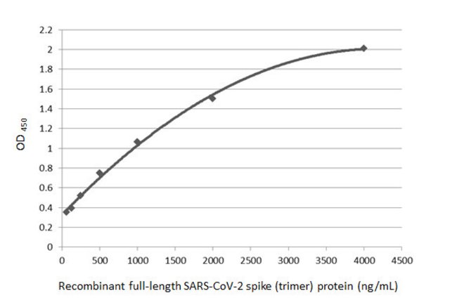 SARS-CoV-2 Spike Protein S1 Recombinant Rabbit Monoclonal Antibody ...