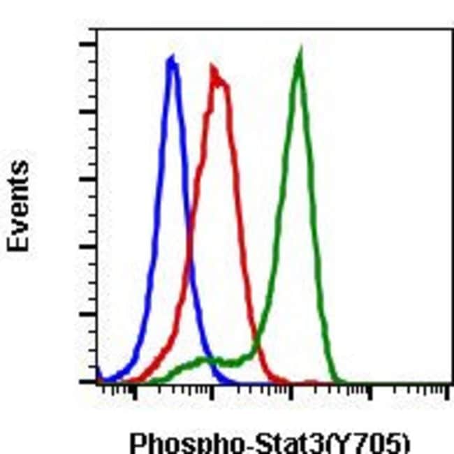 Phospho-Stat3 (Tyr705) Recombinant Rabbit Monoclonal Antibody ...