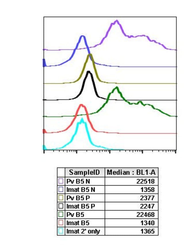 Invitrogen Phospho-Stat5 (Tyr694) Recombinant Rabbit Monoclonal ...