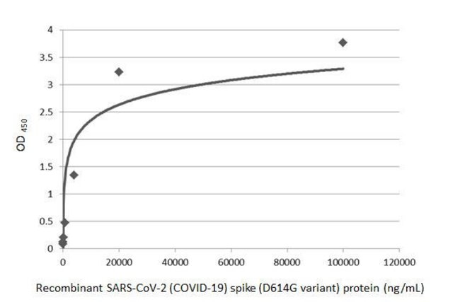 SARS-CoV-2 Spike Protein (RBD) Recombinant Rabbit Monoclonal Antibody ...