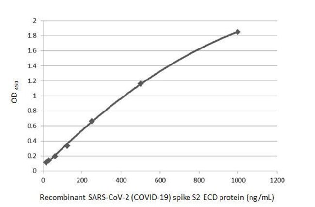 Invitrogen SARS-CoV-2 Spike Protein S2 Recombinant Rabbit Monoclonal ...