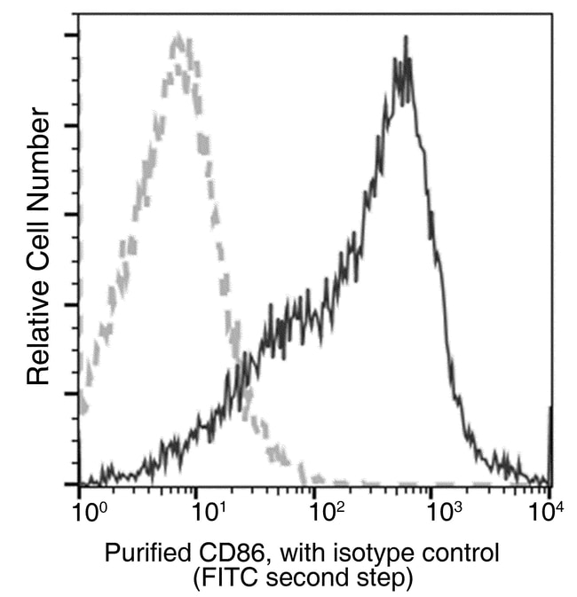CD86 (B7-2) Monoclonal Antibody (10), Invitrogen:Antibodies:Primary ...