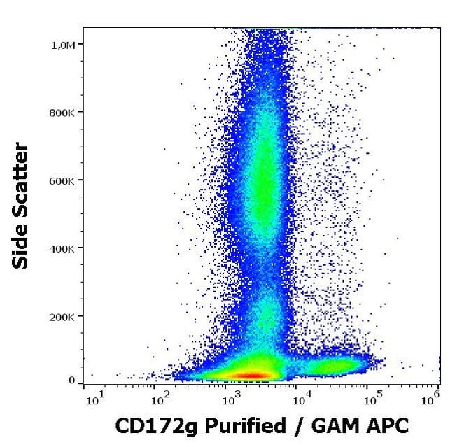 Invitrogen SIRP gamma Monoclonal Antibody (OX-119) 100 μg; Unconjugated ...