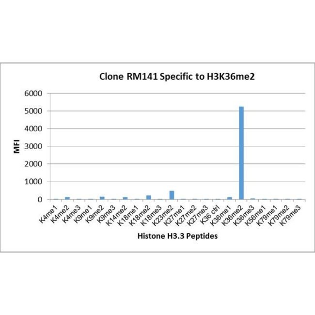 H3K36me2 Recombinant Rabbit Monoclonal Antibody (RM141), Invitrogen 100 ...