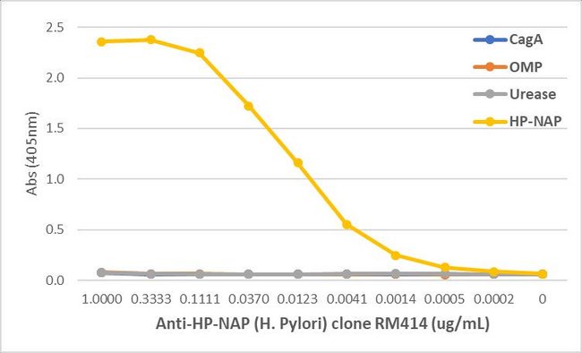 Helicobacter Pylori Hp Nap Recombinant Rabbit Monoclonal Antibody