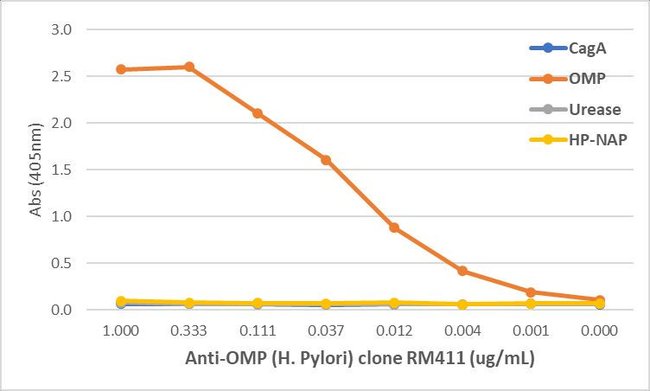 Helicobacter Pylori OMP Recombinant Rabbit Monoclonal Antibody (RM411 ...
