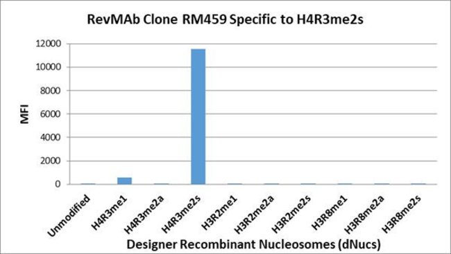 H4R3me2s Recombinant Rabbit Monoclonal Antibody (RM459), Invitrogen 100 ...