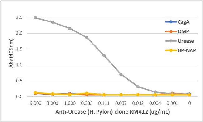 Helicobacter pylori urease Recombinant Rabbit Monoclonal Antibody ...
