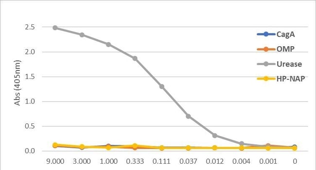 Helicobacter pylori urease Recombinant Rabbit Monoclonal Antibody ...