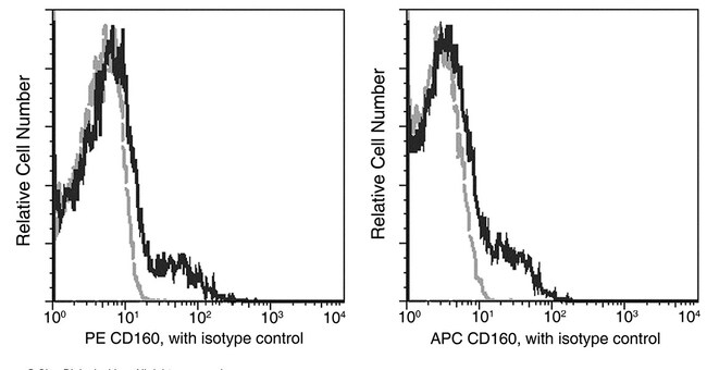 CD160 Recombinant Rabbit Monoclonal Antibody (275), PE, Invitrogen ...
