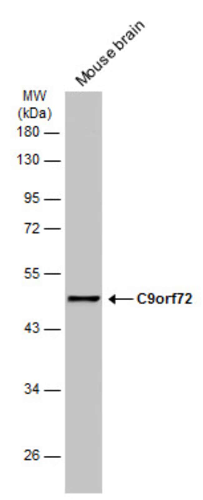 C9orf72 Monoclonal Antibody (GT1553), Invitrogen 100 μL; Unconjugated ...
