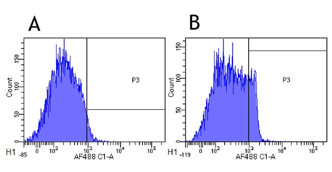 CD4 Chimeric Recombinant Rabbit Monoclonal Antibody (MT310), Invitrogen ...