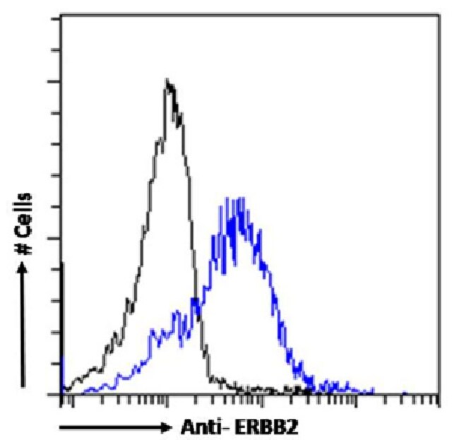 ErbB2 (HER-2) Recombinant Rabbit Monoclonal Antibody (SAIC-02A-7 ...