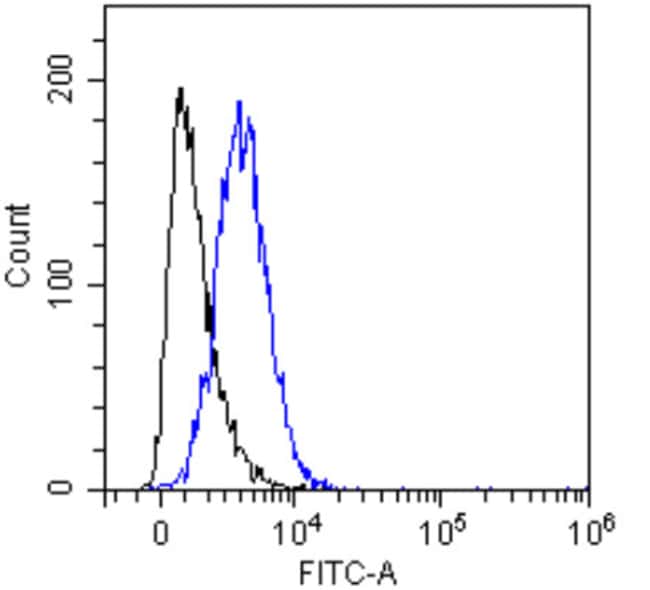 CD55 Chimeric Recombinant Rabbit Monoclonal Antibody (LU30), Invitrogen ...