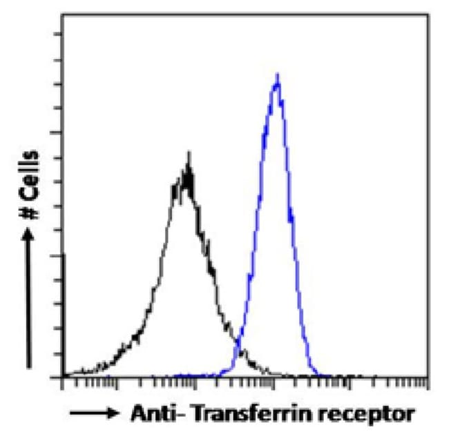 Transferrin Receptor Chimeric Recombinant Rabbit Monoclonal Antibody ...