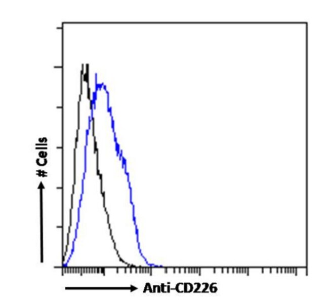 CD226 (DNAM-1) Chimeric Recombinant Rabbit Monoclonal Antibody (10E5 ...