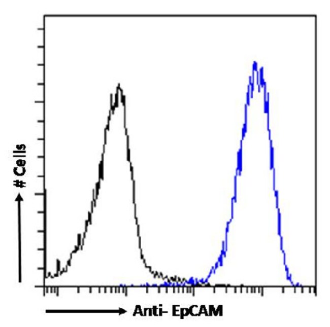 EpCAM (CD326) Recombinant Mouse Monoclonal Antibody (HEA125 ...