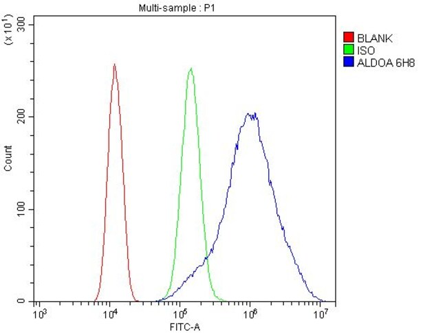 Aldolase A Monoclonal Antibody (6H8), Invitrogen 100 μg; Unconjugated ...