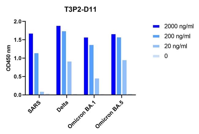 Invitrogen SARS-CoV-2 Spike (trimer) Protein Recombinant Llama ...