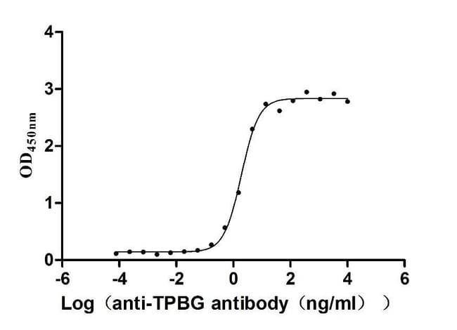 5T4 Recombinant Human Monoclonal Antibody (13C3), Invitrogen 100 μL ...