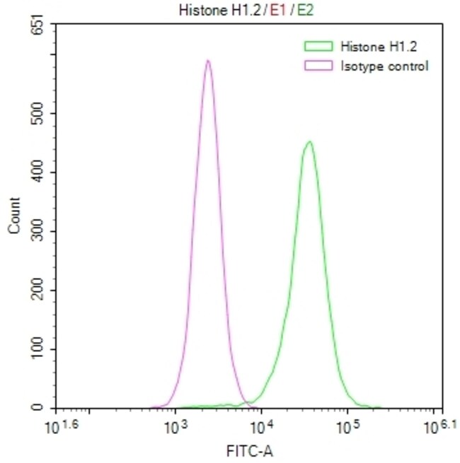 Histone H1.2 Recombinant Rabbit Monoclonal Antibody (16H4), Invitrogen ...
