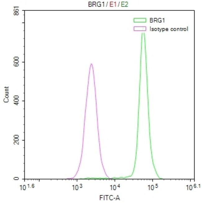 BRG1 Recombinant Rabbit Monoclonal Antibody (22F3), Invitrogen 100 μL ...