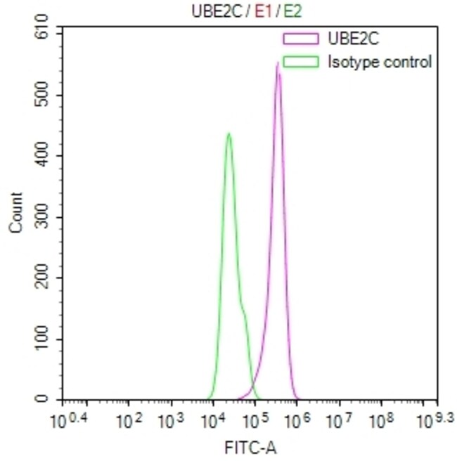 UBE2C Recombinant Mouse Monoclonal Antibody (22E1), Invitrogen 100 μL ...