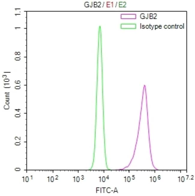 Connexin 26 Recombinant Mouse Monoclonal Antibody (24F5), Invitrogen ...
