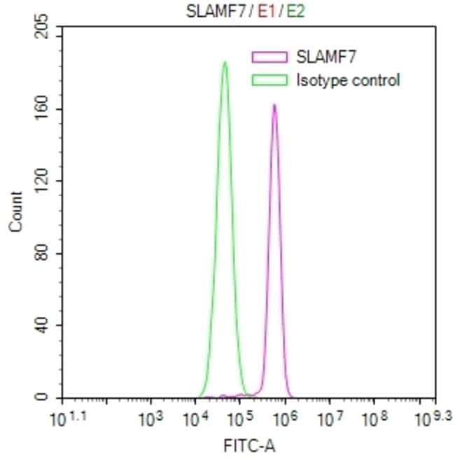 CRACC Recombinant Mouse Monoclonal Antibody (7H1), Invitrogen 100 μL ...