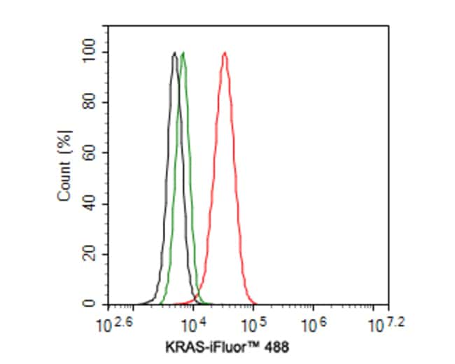 K-Ras Monoclonal Antibody (A8E4), Invitrogen 100 μL, Unconjugated:Antibodies, | Fisher Scientific