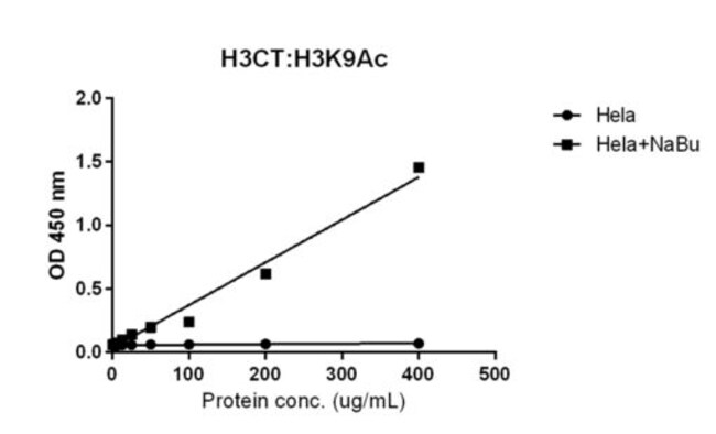 Invitrogen Histone H3 Recombinant Rabbit Monoclonal Antibody (RM188 ...