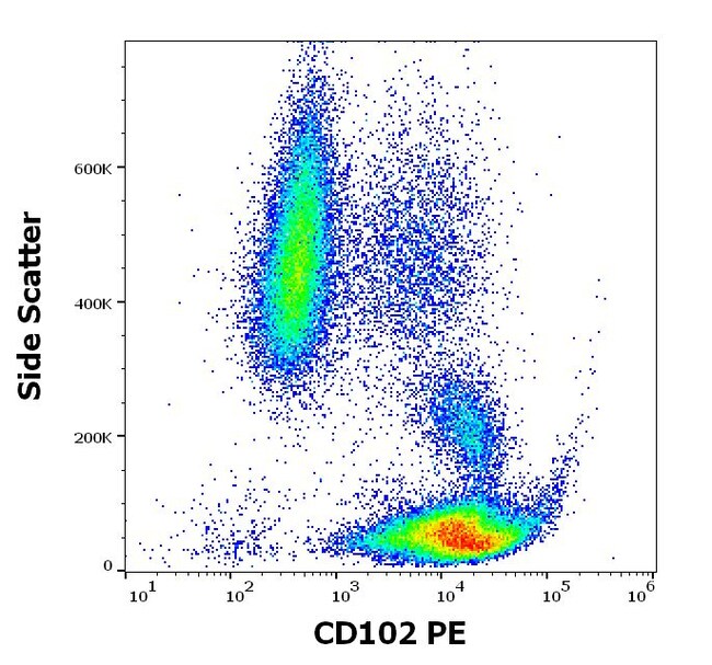 Invitrogen ICAM-2 Monoclonal Antibody (CBR-IC2/2), PE 100 Tests; PE ...