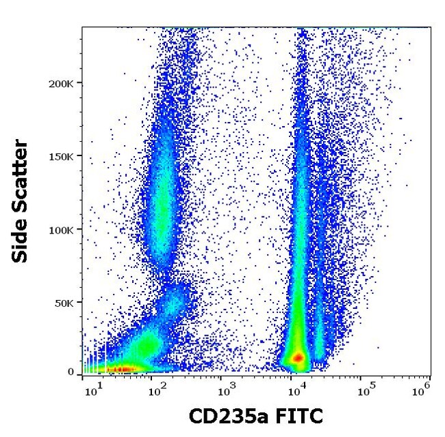 Invitrogen CD235a Monoclonal Antibody (JC159), FITC 100 Tests; FITC ...