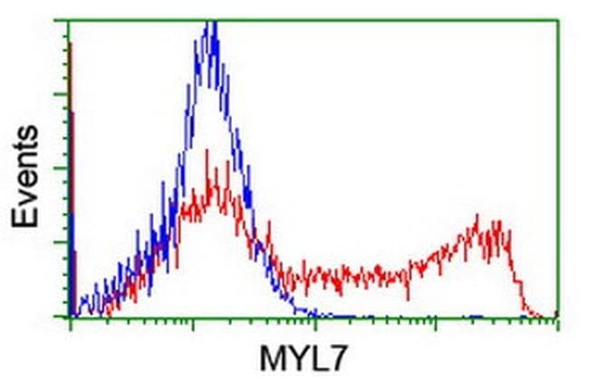 MYL7 Monoclonal Antibody (OTI5D2), TrueMAB , OriGene 100 μL ...