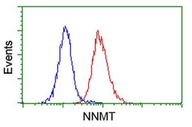 NNMT Monoclonal Antibody (OTI2A3), TrueMAB™, OriGene 30 μL; Unconjugated Ver productos | Fisher ...