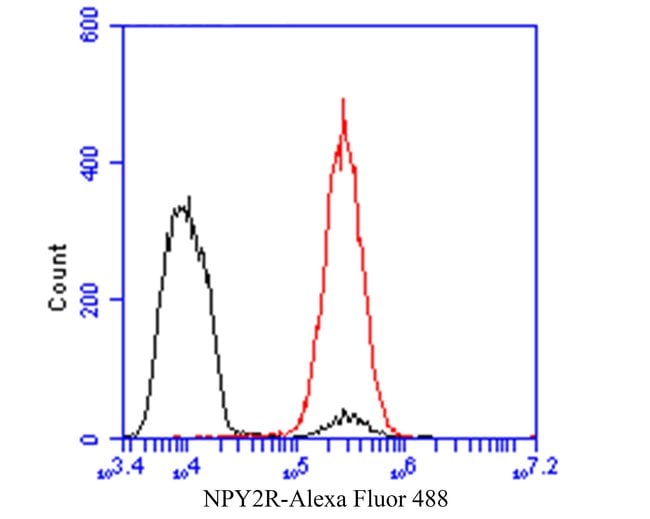 NPY2R Polyclonal Antibody, Invitrogen 100 μL; Unconjugated:Antibodies ...