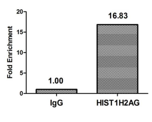 Crotonyl-Histone Macro-H2A.1 (Lys118) Rabbit anti-Human, Polyclonal ...