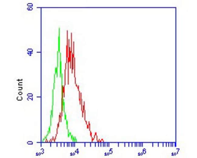 Invitrogen ACE2 Polyclonal Antibody 100 μL; Unconjugated:Antibodies ...