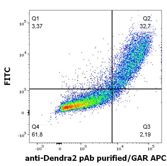 Dendra2 Polyclonal Antibody, Invitrogen 100 μg; Unconjugated:Antibodies ...