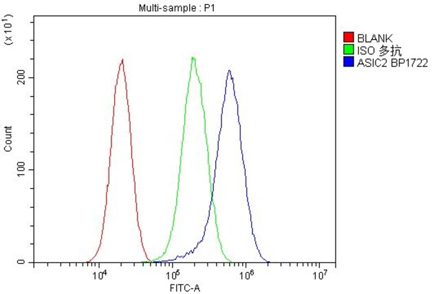 ASIC2 Polyclonal Antibody, Invitrogen 100 μg; Unconjugated:Antibodies ...