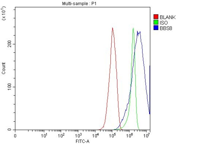 TTC8 Polyclonal Antibody, Invitrogen 100 μg; Unconjugated:Antibodies ...