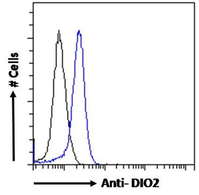 DIO2 Polyclonal Antibody, Invitrogen 100 μg; Unconjugated:Antibodies ...