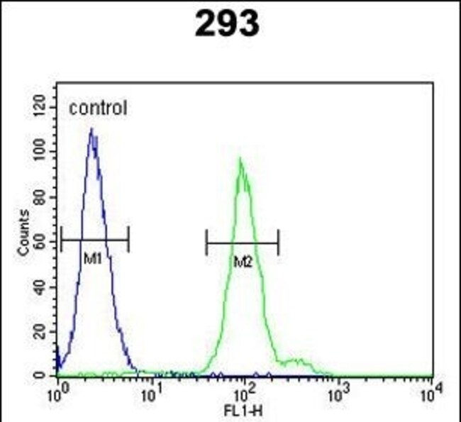 Invitrogen Complement Factor B Polyclonal Antibody 400 μL; Unconjugated ...