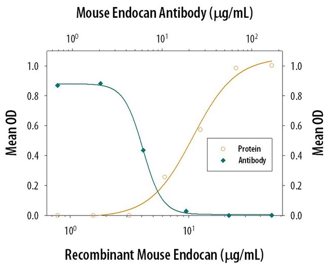 Invitrogen Endocan Polyclonal Antibody 100 μg; Unconjugated:Antibodies ...