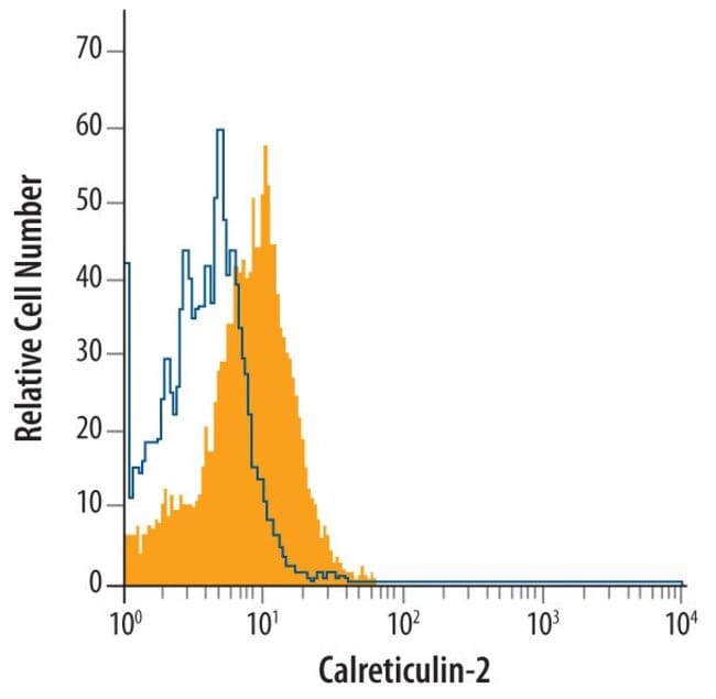 Calreticulin 3 Polyclonal Antibody, Invitrogen™ 100 μg; Unconjugated ...