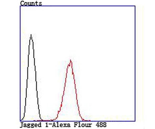 Jagged1 Polyclonal Antibody, Invitrogen 100 μL; Unconjugated:Antibodies ...