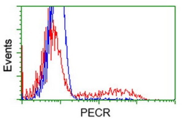 PECR Mouse anti-Canine, Human, Rat, Clone: OTI2B2, lyophilized, TrueMAB ...